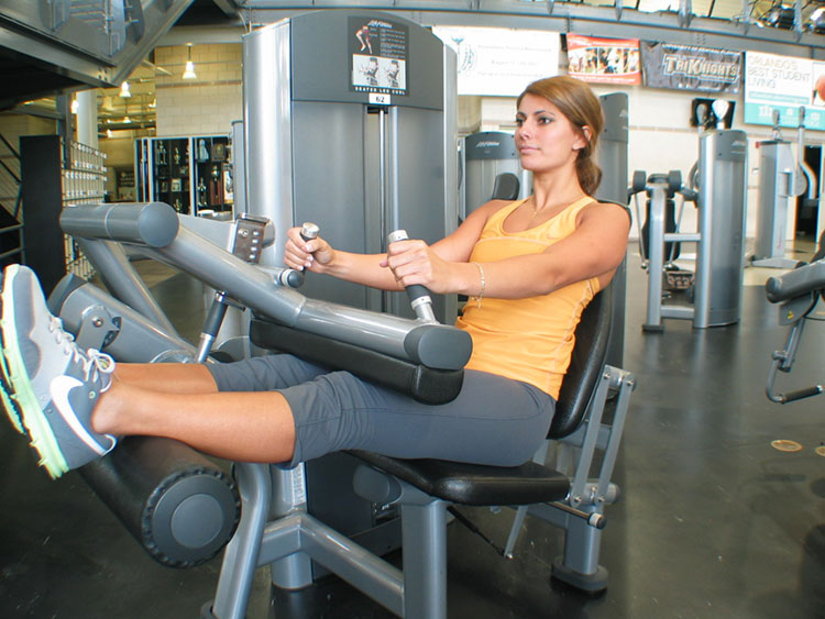 Leg Curls Seated My Leader Source leg-curls-seated-my-leader-source